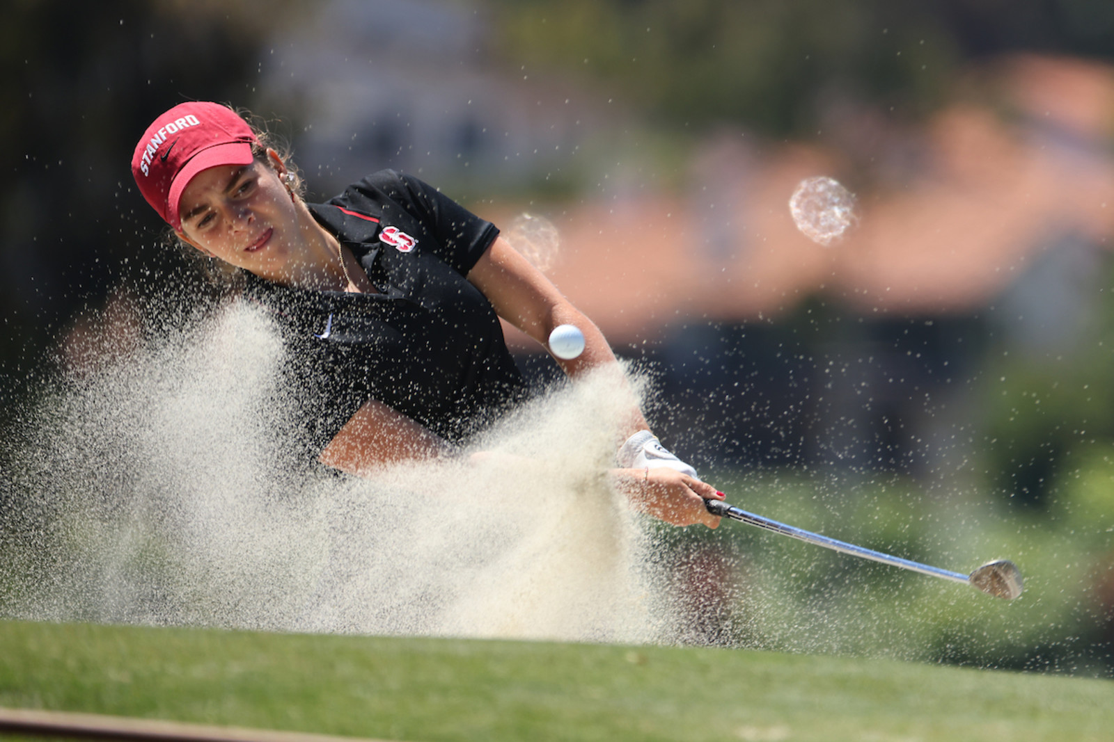 SCOREBOARD - Quick 9 Preview: The Stanford Intercollegiate